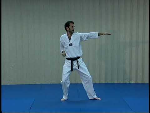 TAE KWON DO FORMS "DAN-GUN" - YouTube