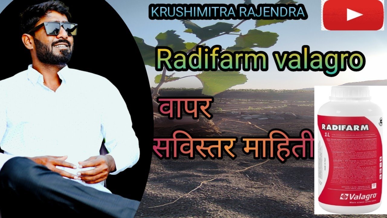 Radifarm valagro #valagro #tomato #grape #farming @IndianFarmer @TheAdvanceAgriculture - YouTube