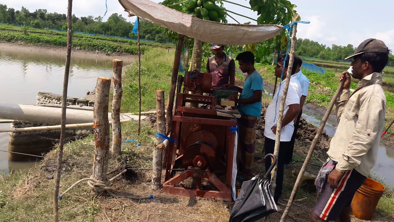 sludge removal in shrimp pond - YouTube
