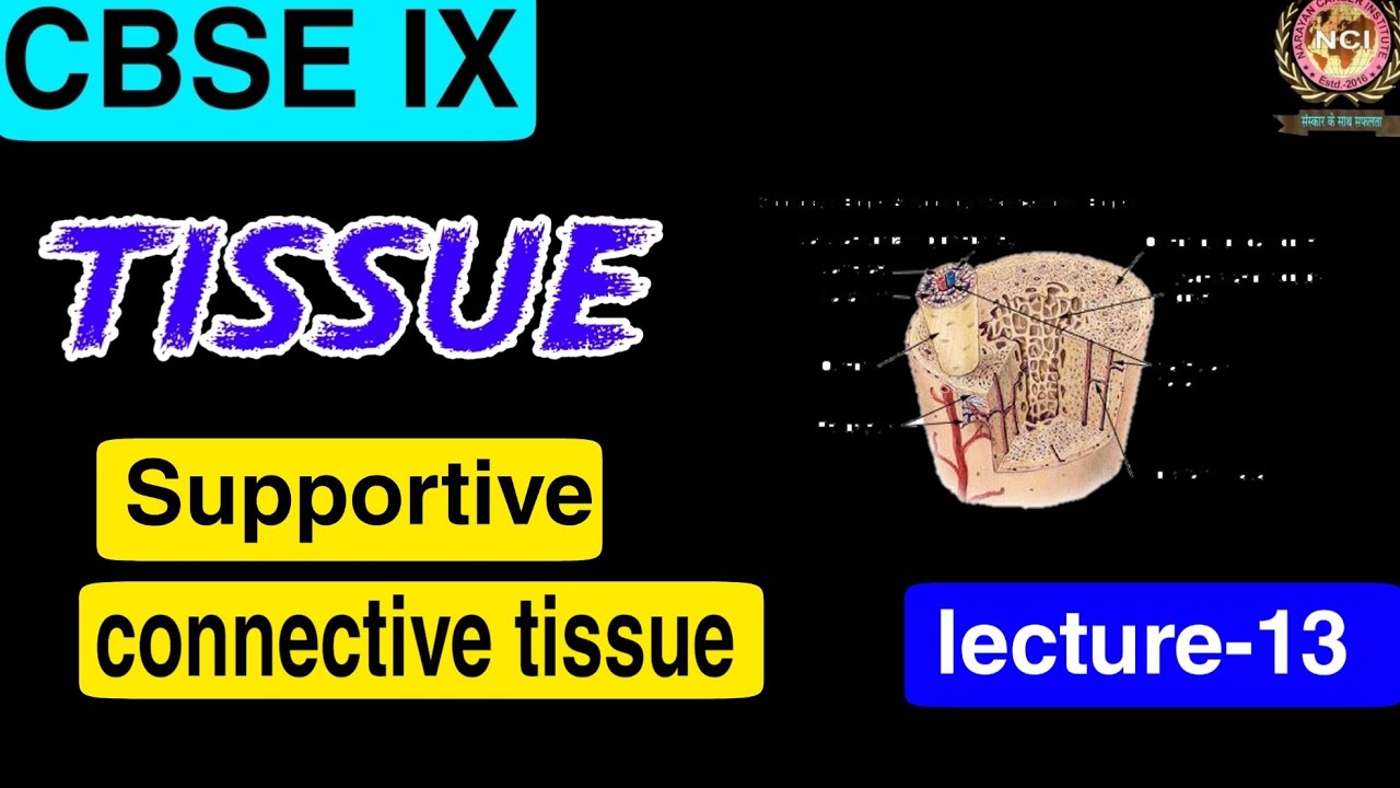 Lecture-13: Supportive Connective Tissue | Fluid Connective Tissue ...