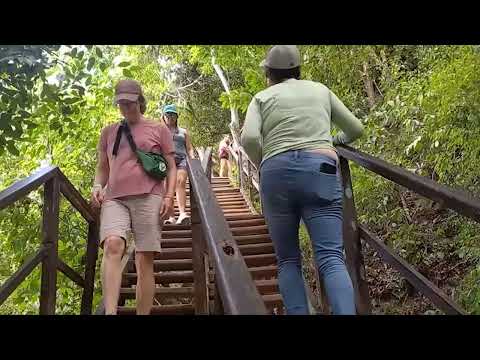 Remozan escalinatas Templo IV en Tikal, Petén