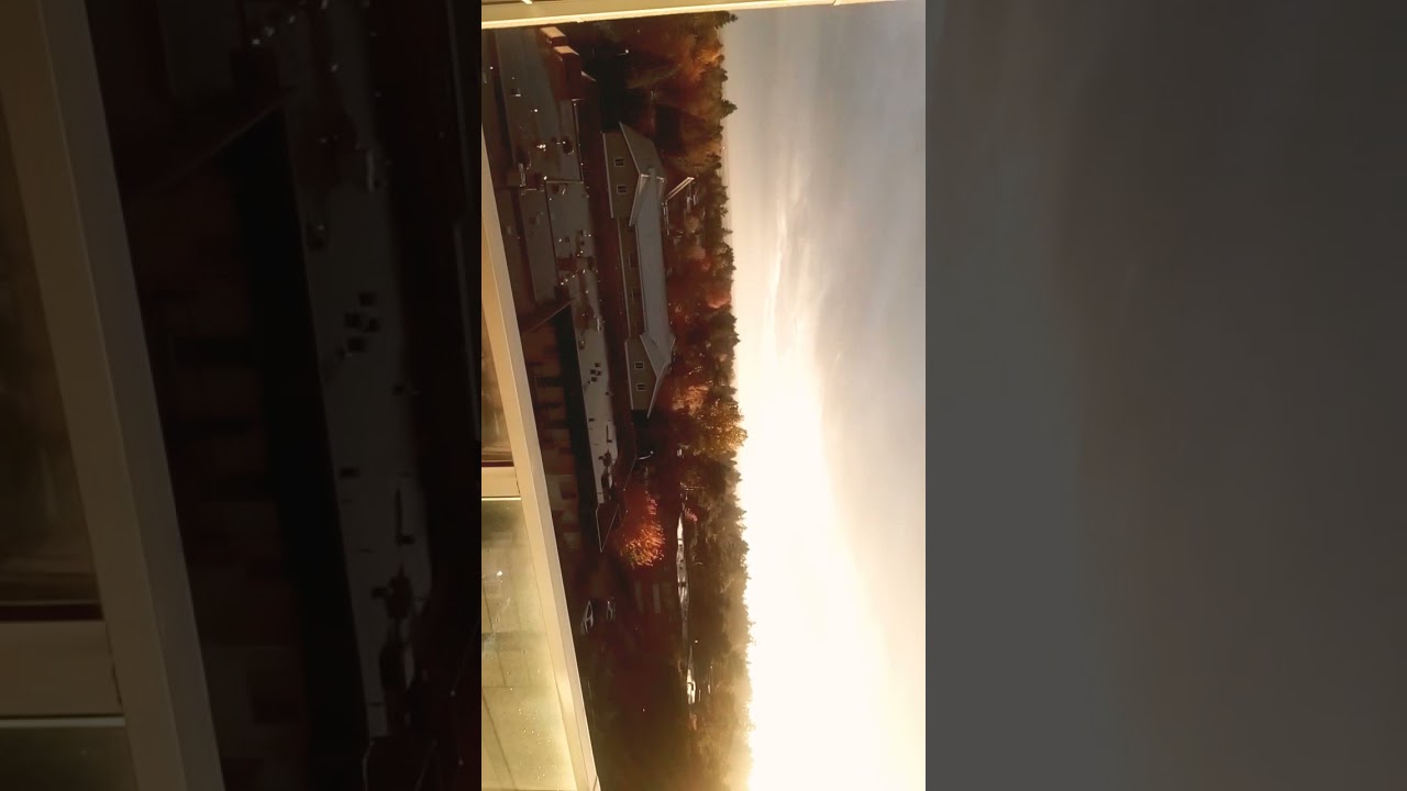 Top Weird and Strange History Stories and Facts Everyone Should Know ...