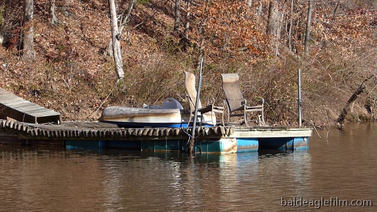 Day in Lake Jackson, Virginia - YouTube