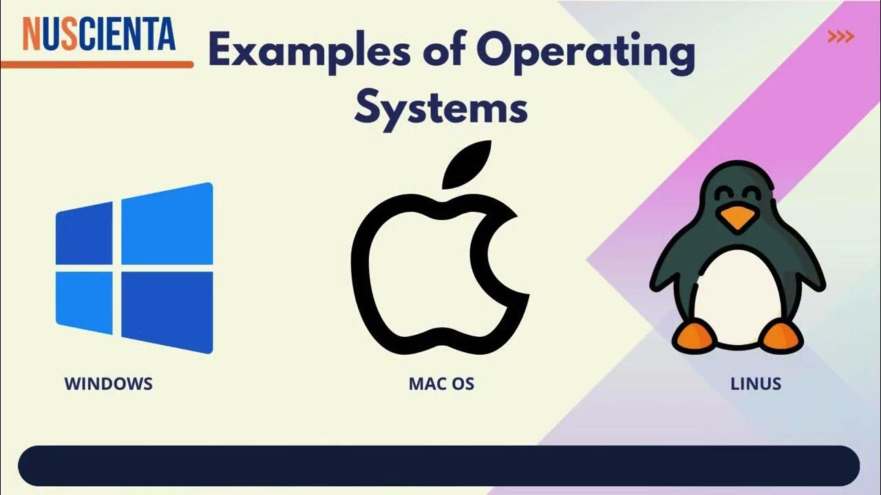 Understanding File Systems & Different Types of Operating Systems - YouTube