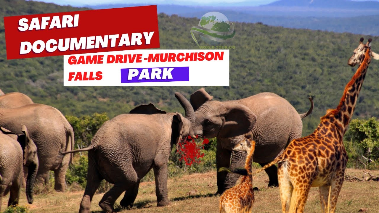 SAFARI DOCUMENTARY: Game Drive Through MURCHISON FALLS National Park ...