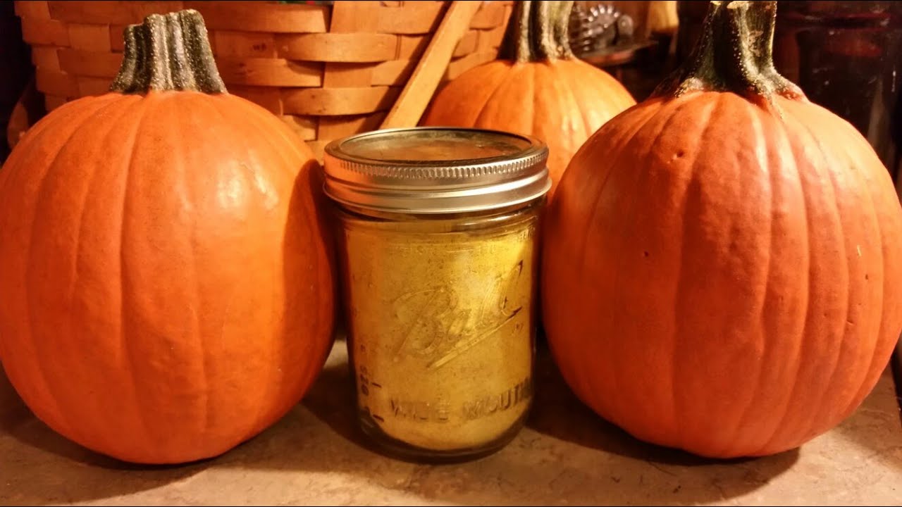 How to Make Pumpkin Powder || Processing Pumpkins (dehydrating) - YouTube