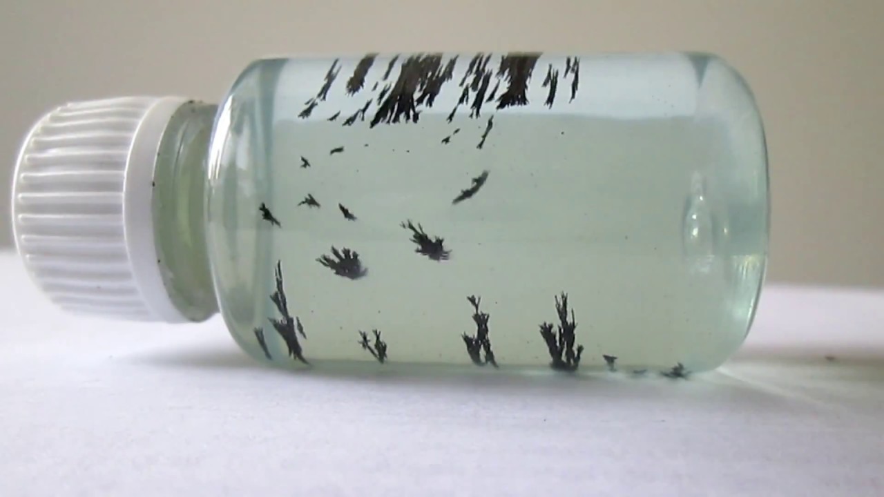 the magnetic field and the metal shavings experiment - YouTube