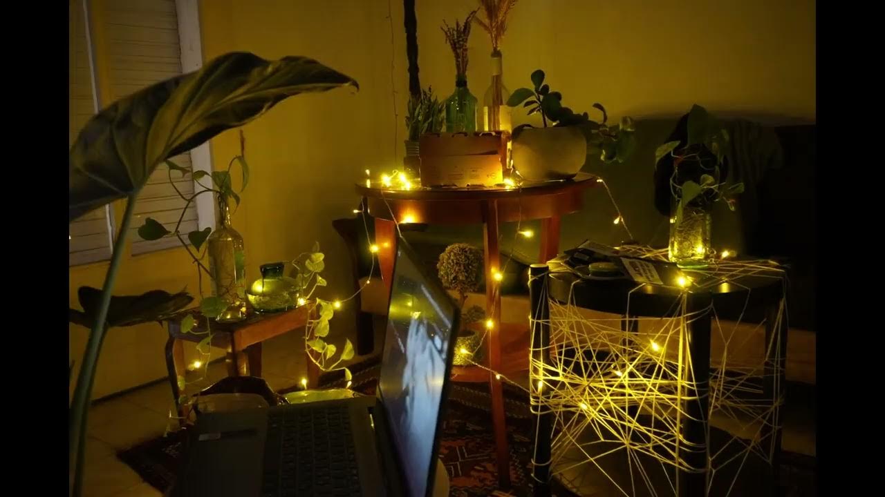 stop motion plants - YouTube