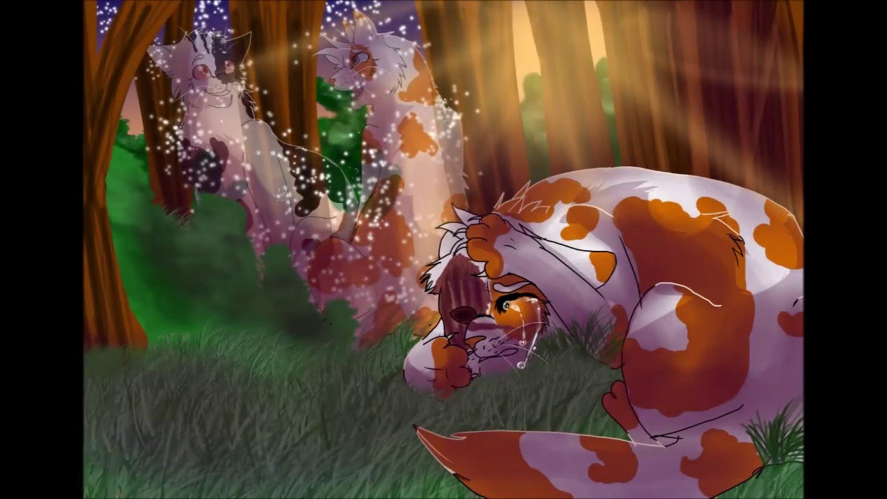 Brightheart's Memories (Warrior Cats Speedpaint) - YouTube