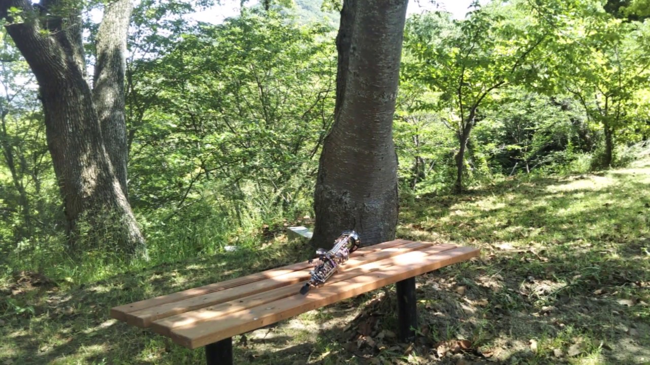 saxophone therapy in the forest NO20 - YouTube