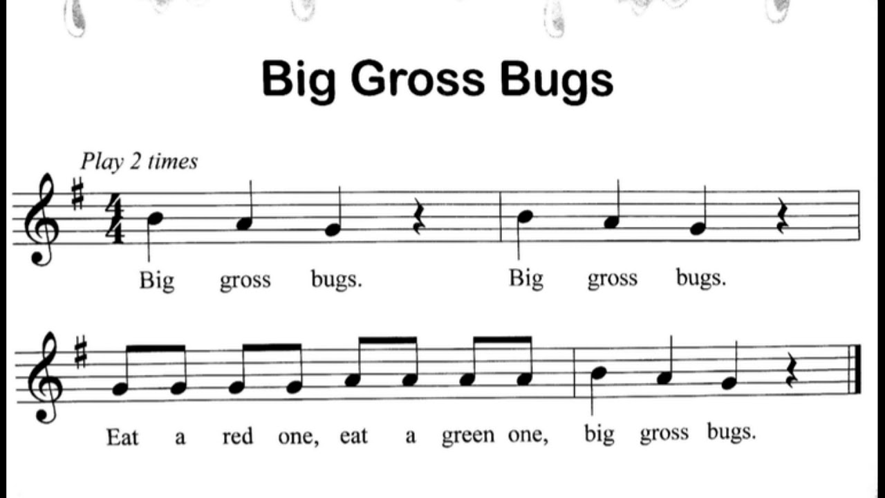 Big gross bugs - YouTube