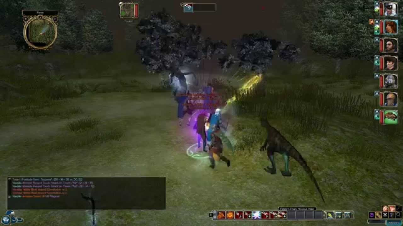 NWN2 SoZ (HD) - Act 2 - Wild Elf Female - YouTube