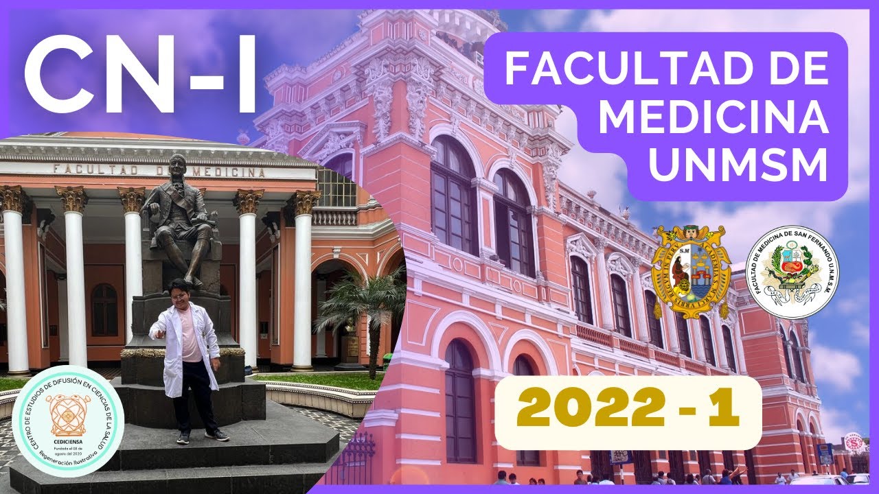 CN - I / CLASE SEMANA 9 - GRUPOS FUNCIONALES/ FAC.MED. UNMSM 2022 - 1 ...