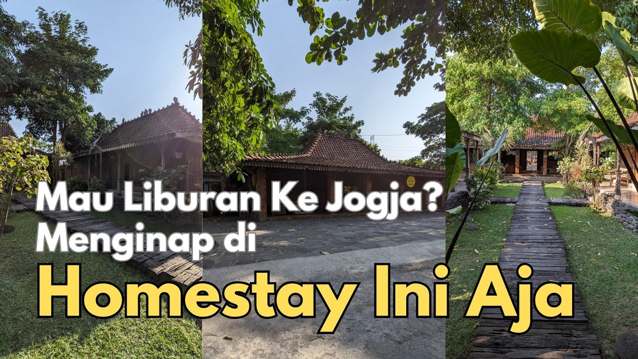Homestay di Jogja Yang Cocok Untuk Liburan Keluarga di Jogja - YouTube