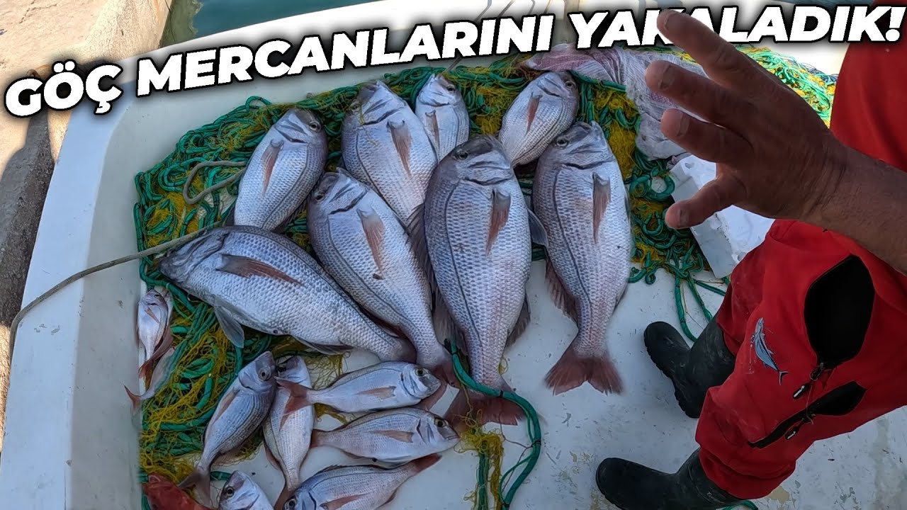 PARAGAT İLE DEV YOL BALIKLARINI YAKALADIK !!! - YouTube