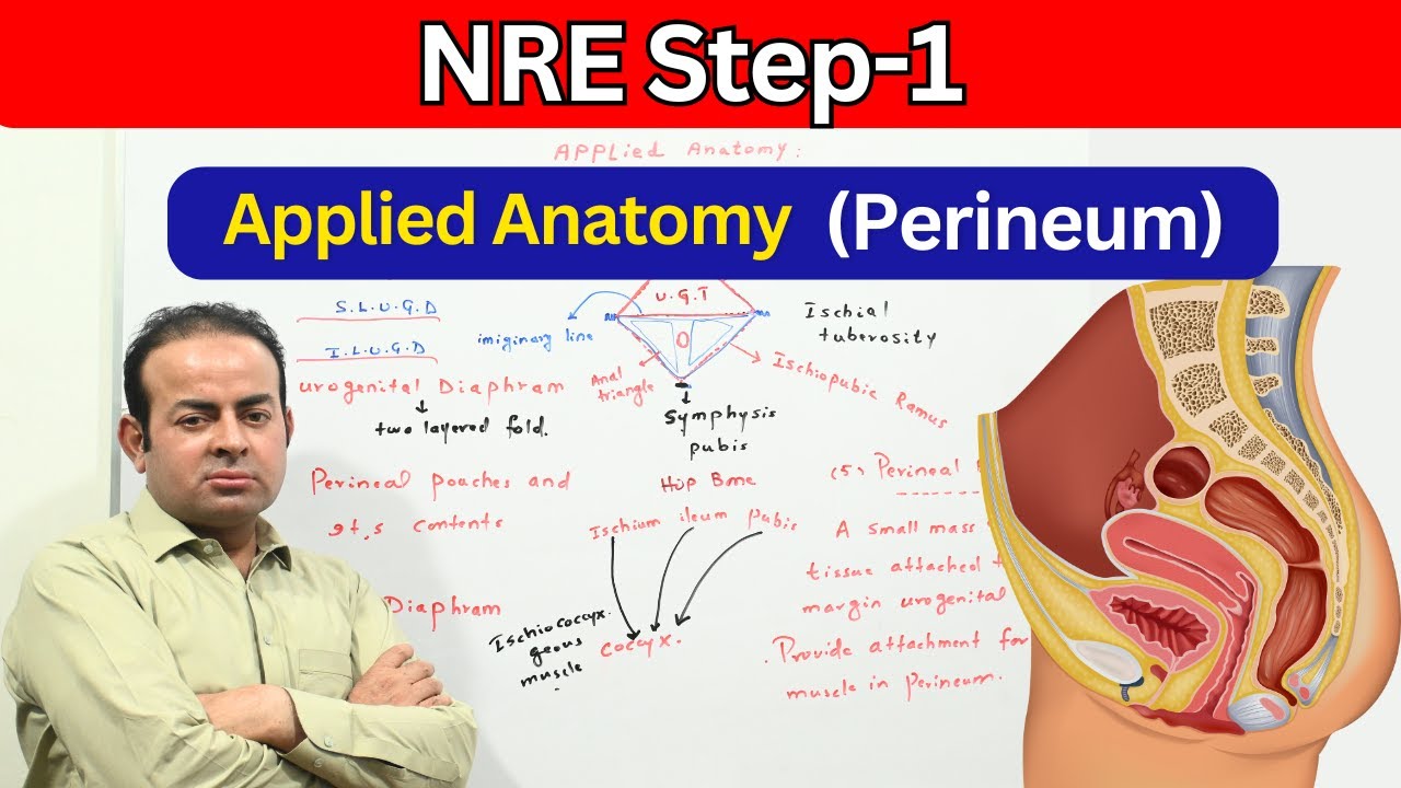 NRE Step 1| Applied Anatomy: Perineum | NRE Exam - YouTube