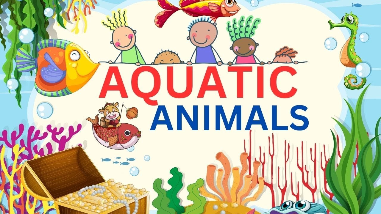 List of Aquatic Animals Names | Aquatic Animals| Kids Video | Kids ...