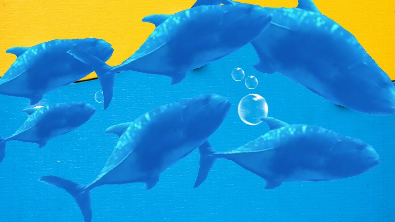 live fish! talking fish video. - YouTube