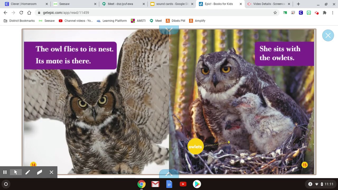 October 15: Nonfiction Reading Owls - YouTube