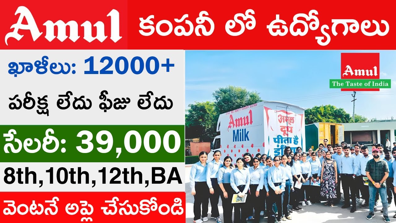 Amul లో బంపర్ జాబ్స్ | Amul job vacancy 2025 | Private company job ...