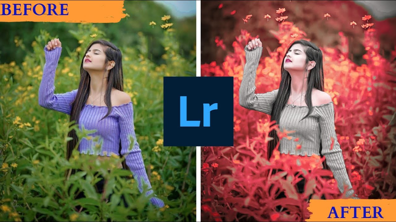 Mastering the Art of Red Lightroom Editing: Transform Your Photos with ...