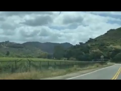 Bonsal California - YouTube