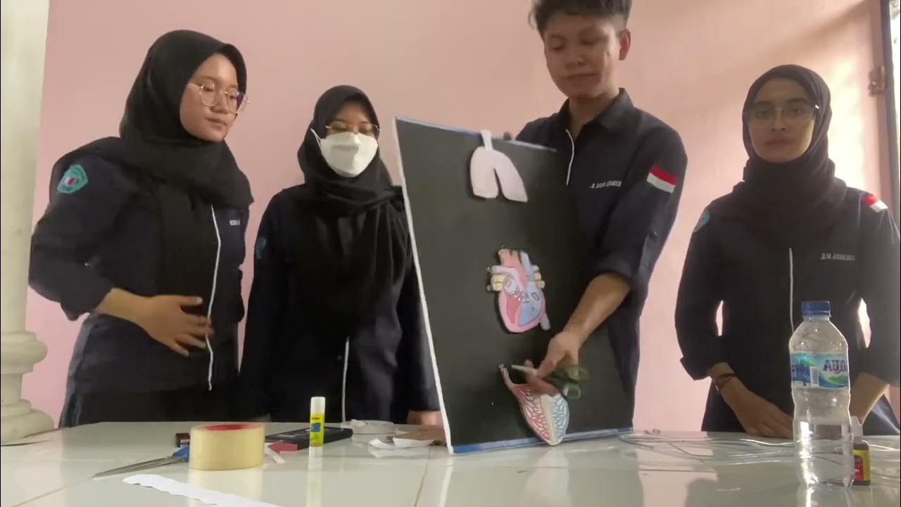 Proses Pembuatan Alat Peraga Sistem Peredaran Darah Manusia | Kelompok ...