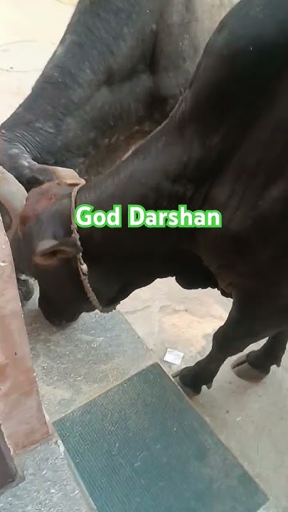 1 December 2024 - YouTube