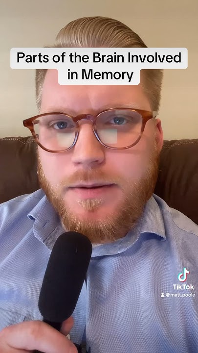 Parts of the Brain Involved in Memory #psychology #memory #cerebellum # ...