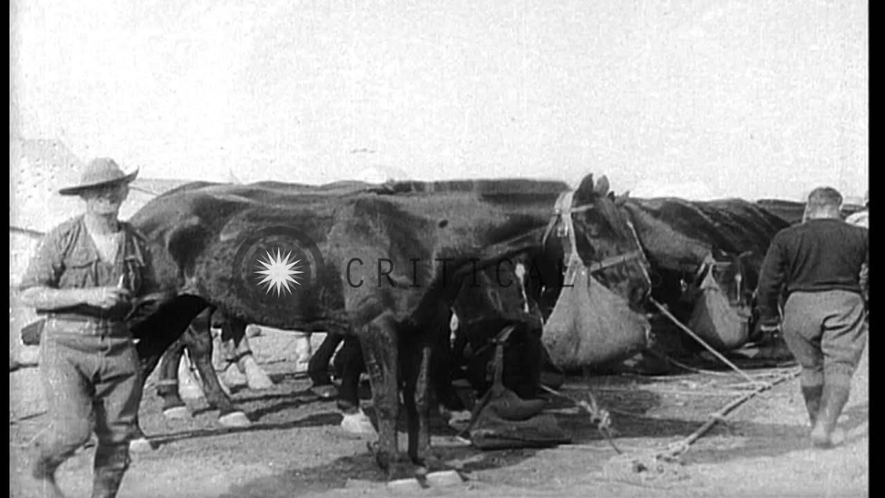 Australian Imperial light horse Infantry encampment during World War I ...