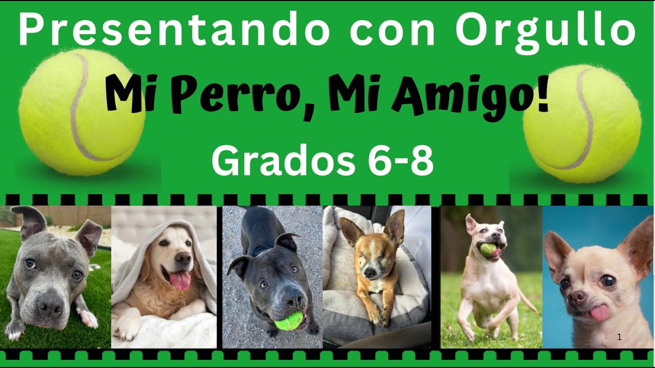 Spanish version Grades 6- 8th "Mi Perro, Mi Amigo" - YouTube