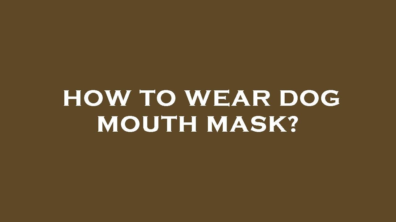 How to wear dog mouth mask? - YouTube