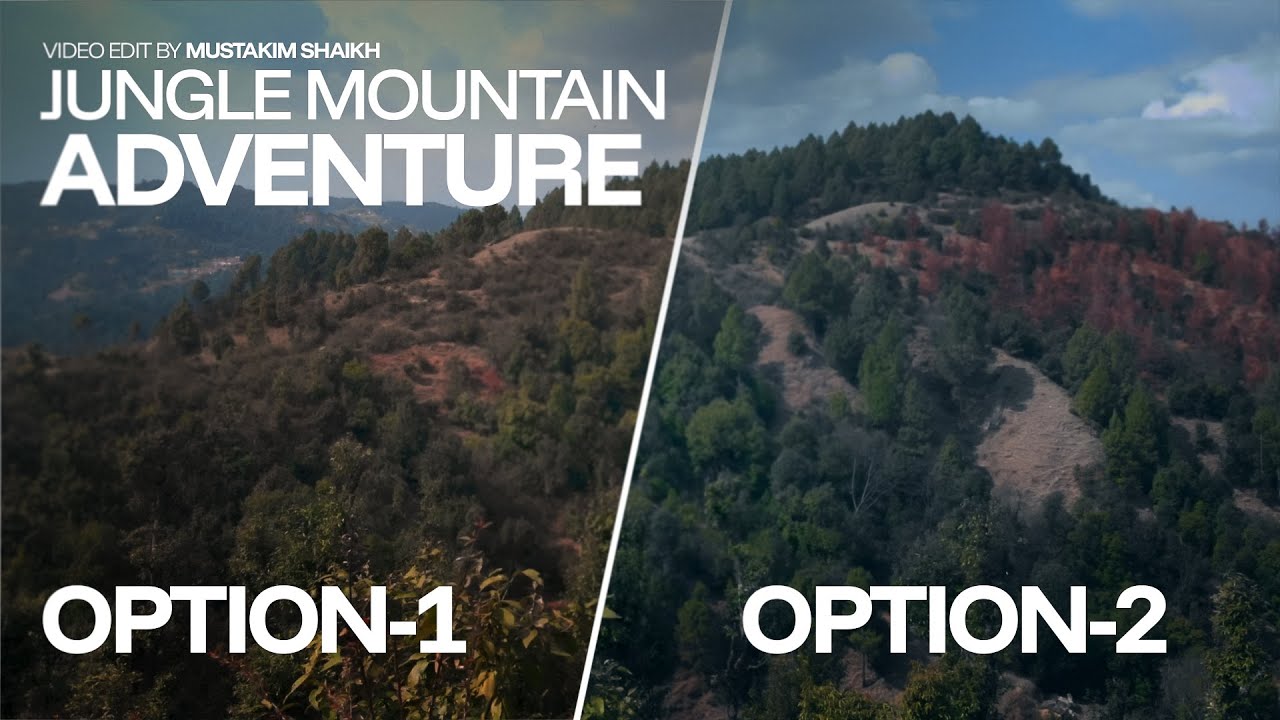 Jungle Mountain | Color Grading Showdown – Which One Wins? | Mustakim ...