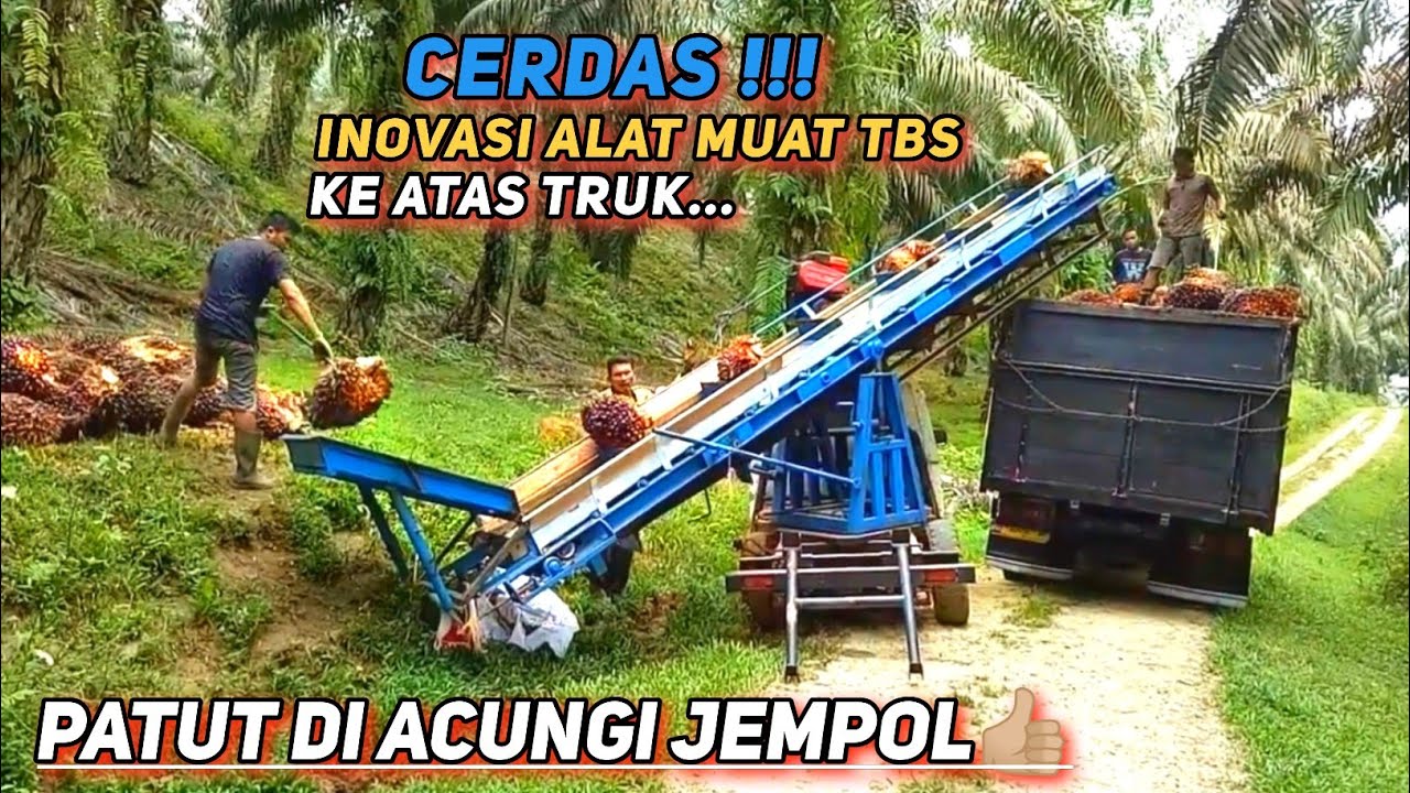 CERDAS!!! Inovasi Alat Angkut Tandan Buah Sawit Langsung Naik Ke Truk ...