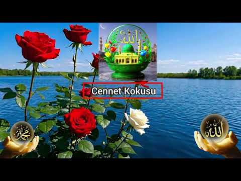 HAYIRLI GUNLER BOL BEREKLER OLSUN CENNET KOKUSU İLAHİ VE DUALAR  SİZLER 👍⚘️♥️