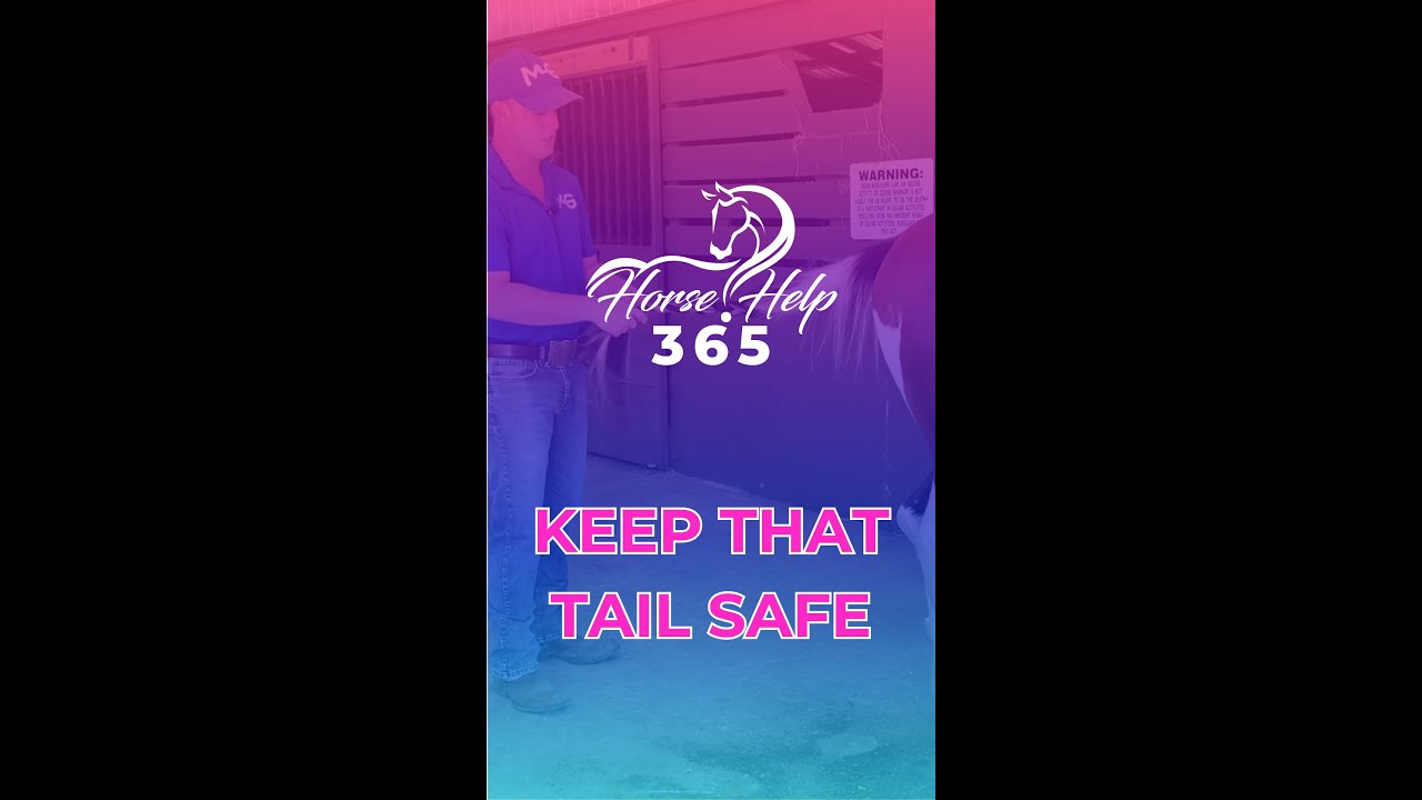 Keep That Tail Safe - YouTube