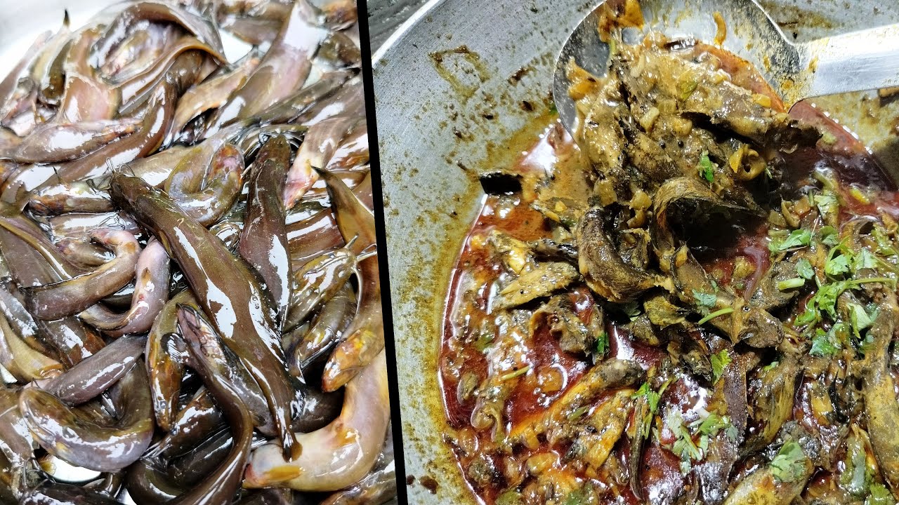 मांगुर मछली बनाने का ऐसा तरीका खाकर बोलेंगे वाह | mangur fish recipe ...