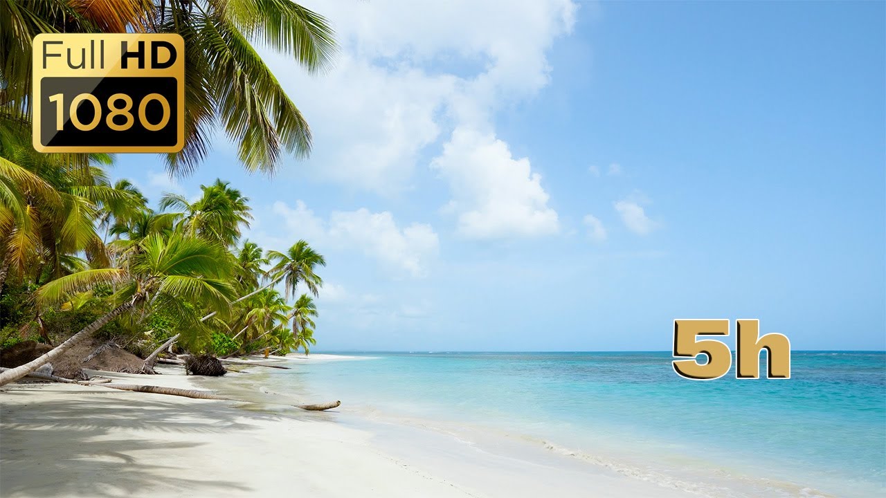 TV - Screen - RELAXING BEACH VIEW 5h - YouTube
