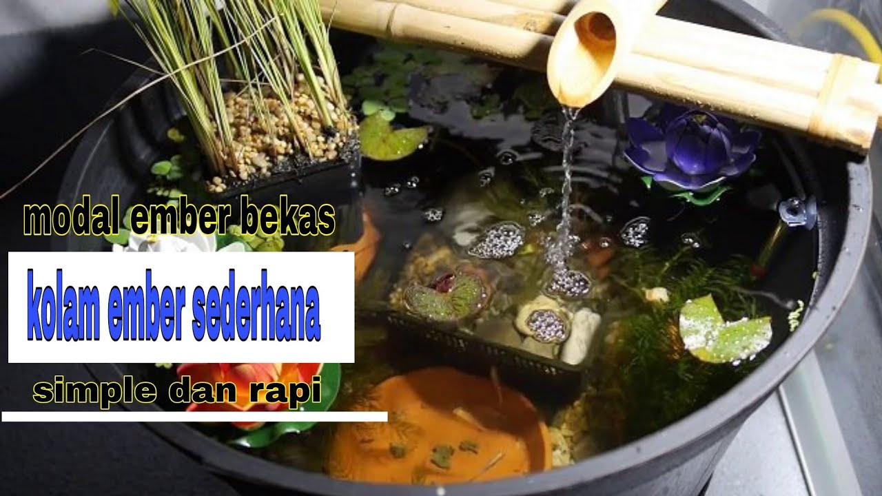 Cara membuat kolam ikan hias dari ember bekas. - YouTube
