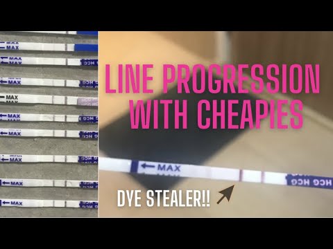 Week 3 to 6 Pregnancy Line Progression || DYE STEALER and HOOK EFFECT ...