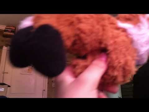 ￼￼￼￼Farting fox