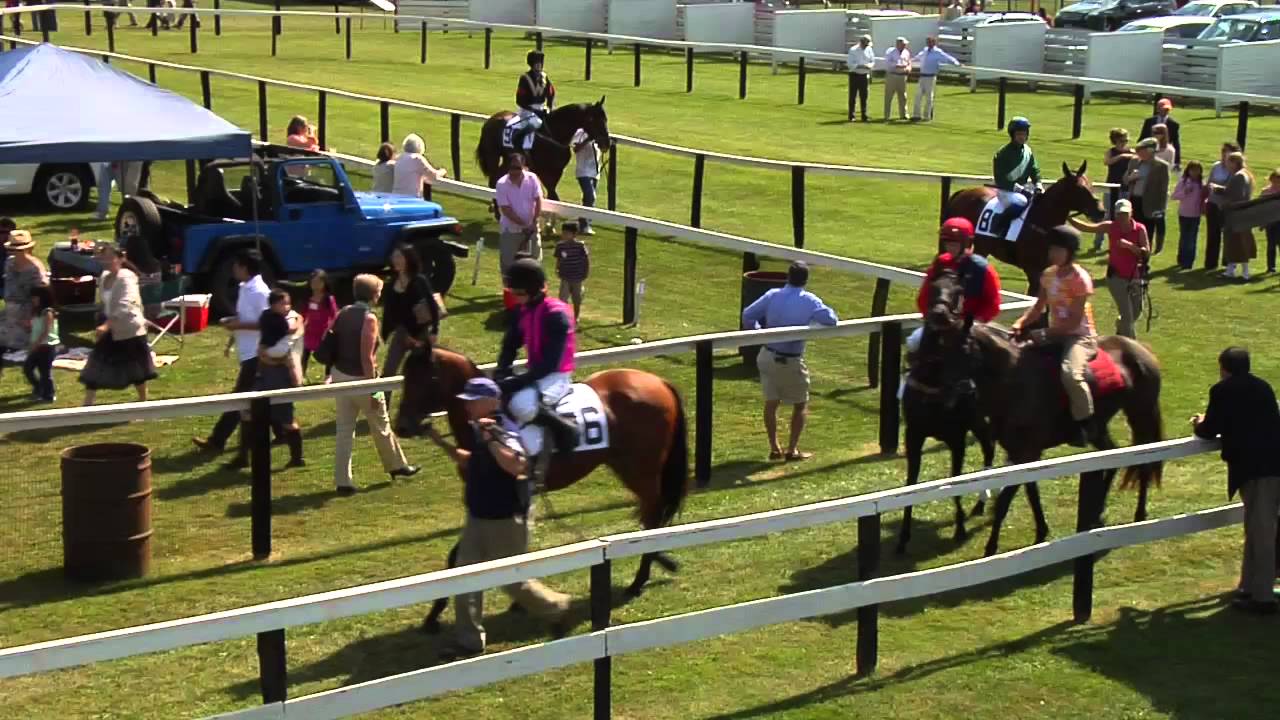 The Foxfield Races - YouTube