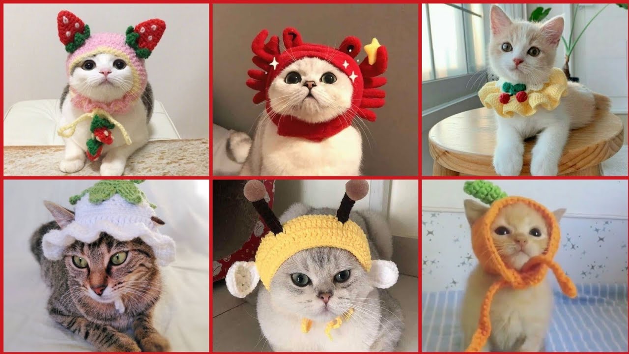 FREE CROCHET PATTERNS CAT CAP DESIGNS - YouTube