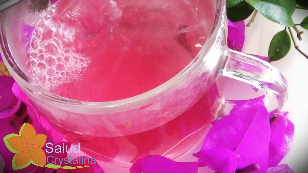 Bugambilia una flor buena en Te ( Bugambilia a good flower in Te ...