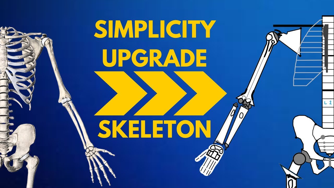 DRAW the ANATOMY of the COMPLETE SKELETON - YouTube