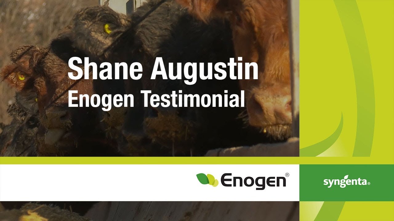 Shane Augustin Enogen Testimonial - YouTube