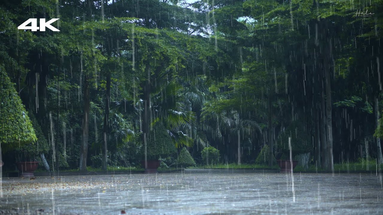 Rain 4K | Soft rain falls in the abandoned park - YouTube