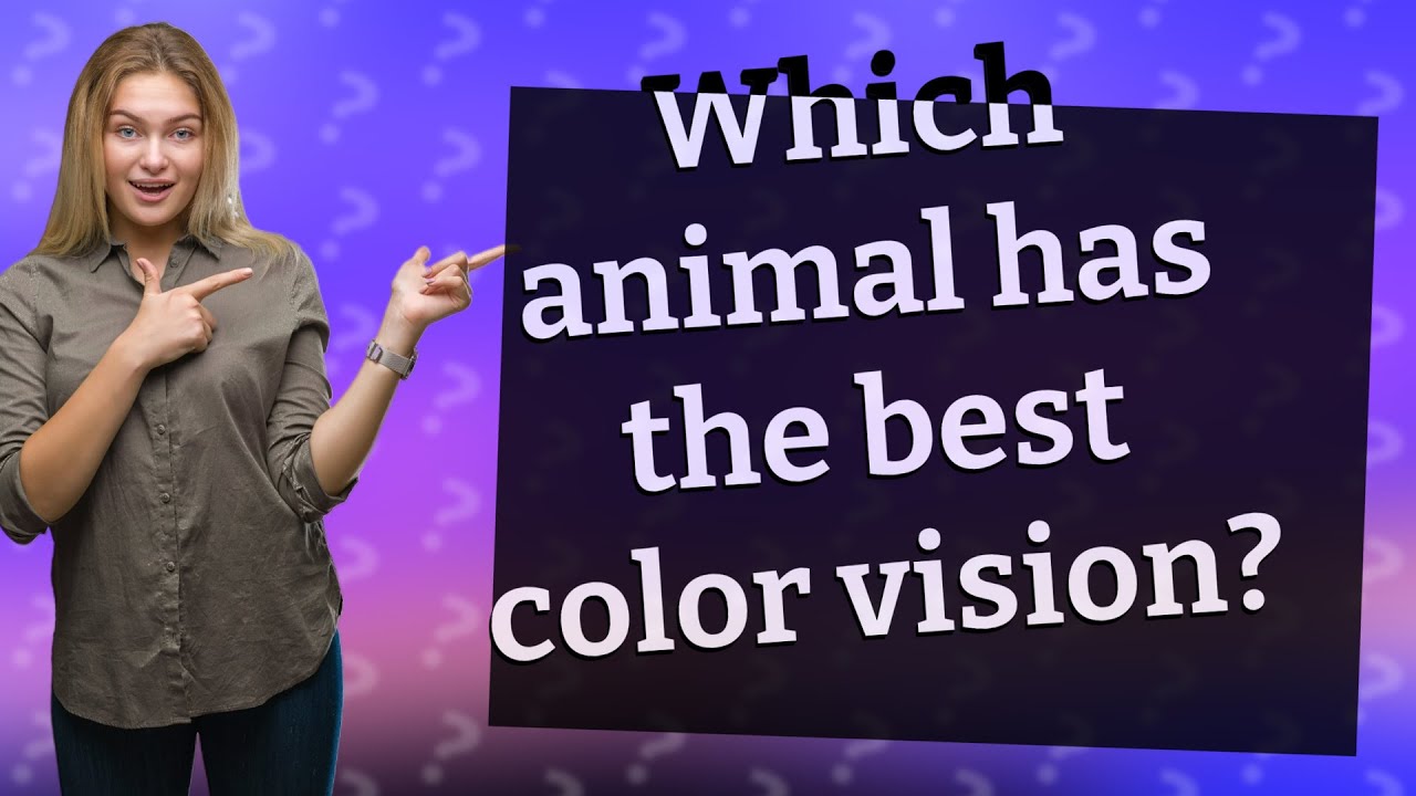 Which animal has the best color vision? - YouTube