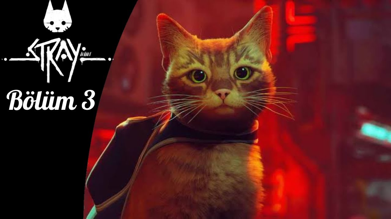 Stray part 3 GAMEPLAY - YouTube