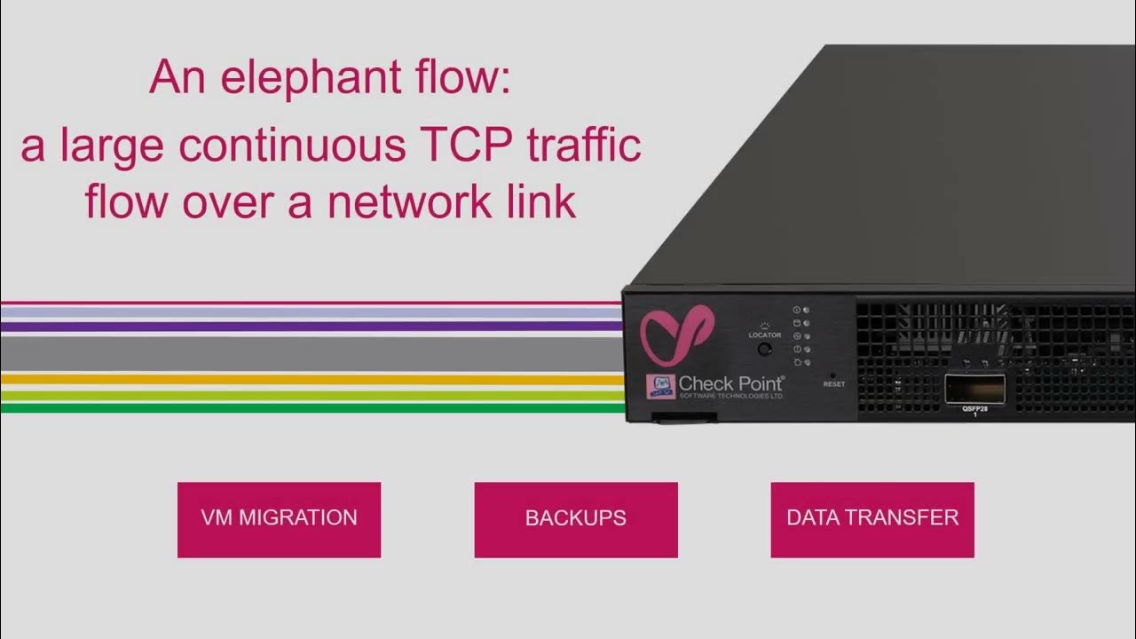HyperFlow Increases Large File Transfer Performance - YouTube